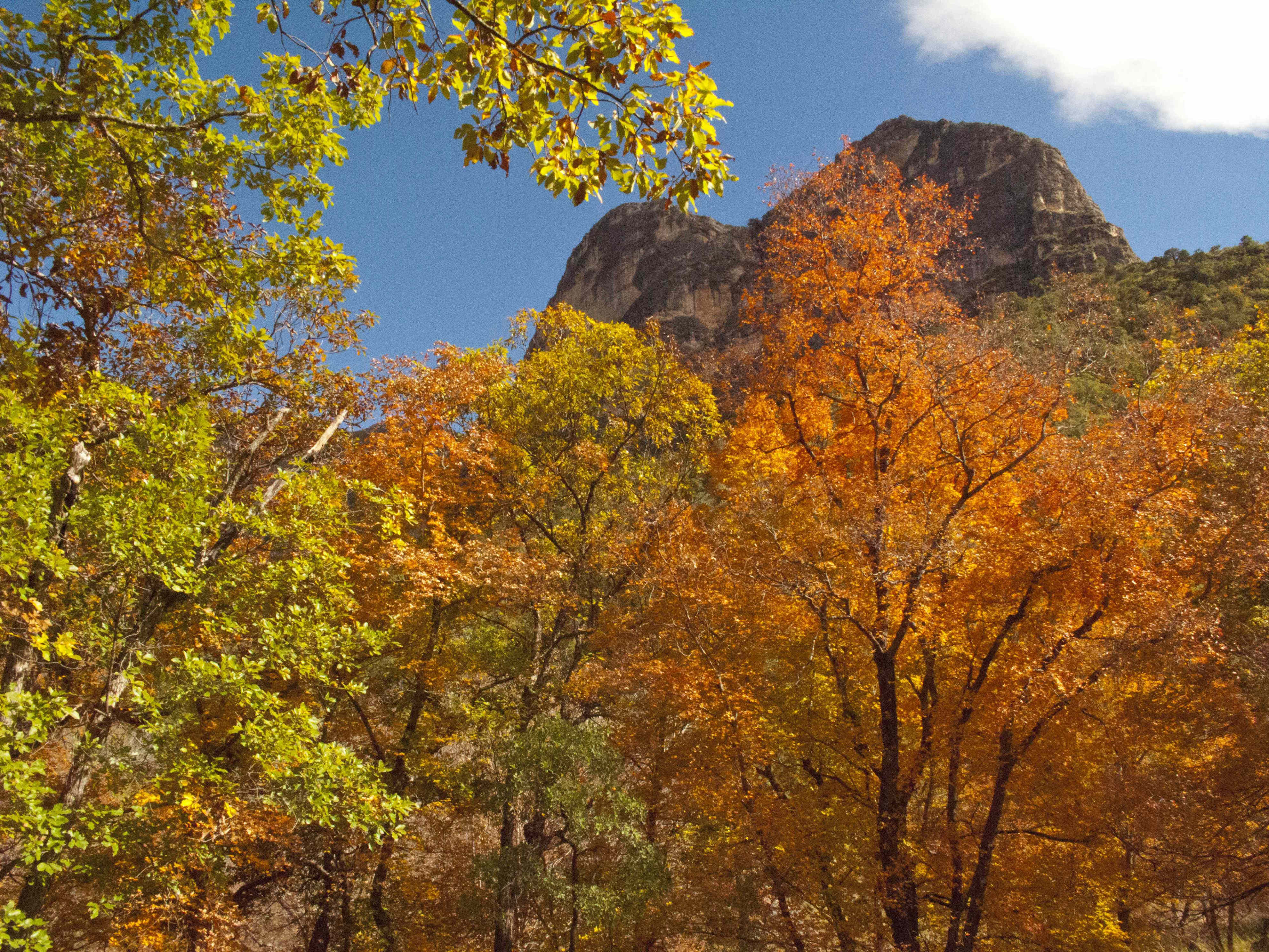 One Of The Best Places To See Fall Color Is Hiding In This Unexpected ...
