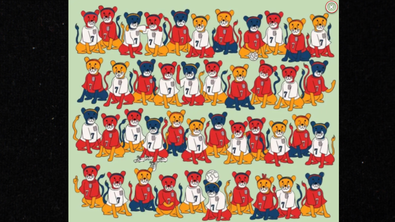 Optical Illusion: Can You Spot The Odd Lion Among The Rest? You Have 10 ...