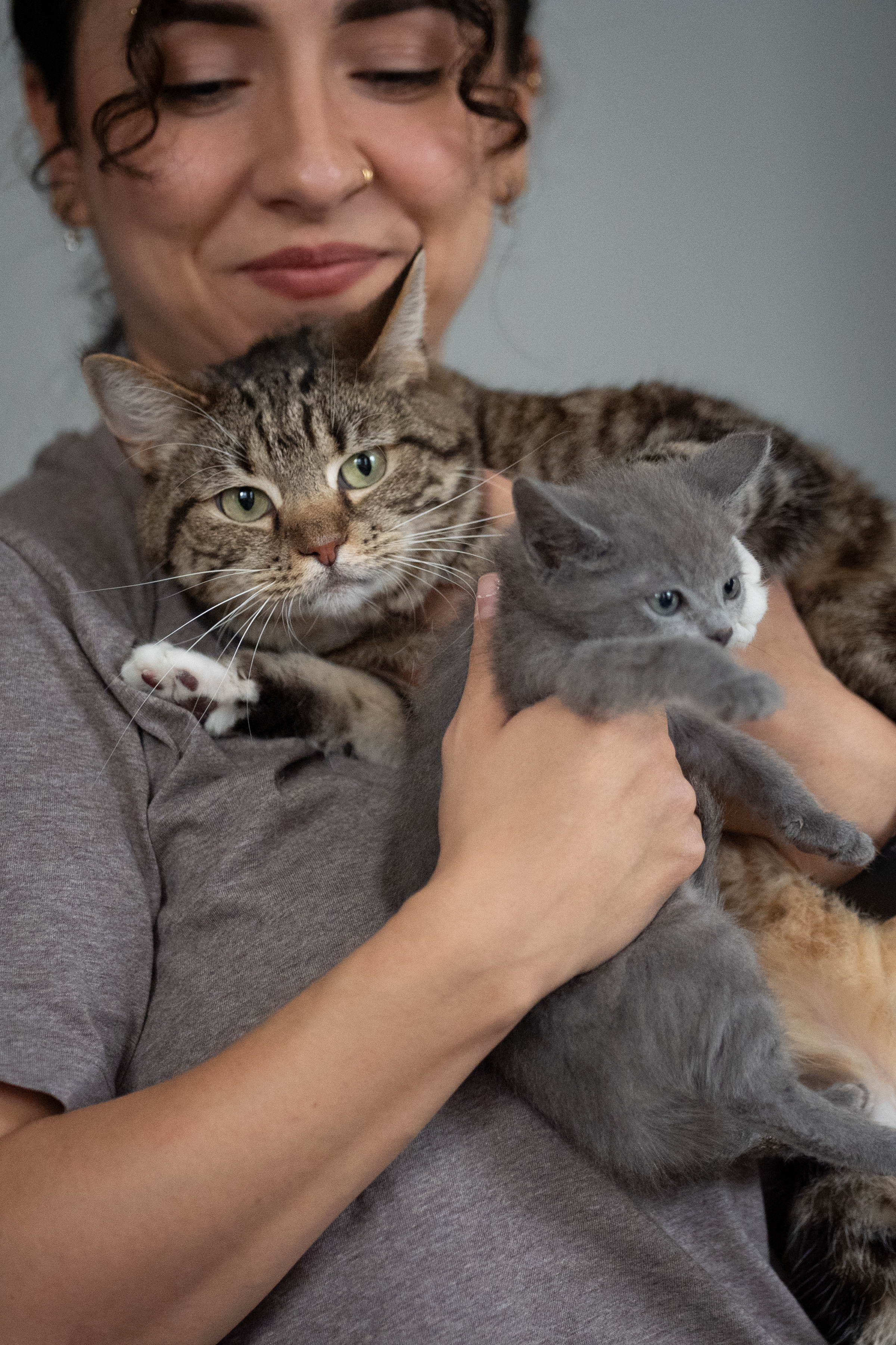 D.C. cat guy goes viral fostering and bottle feeding hundreds of kittens