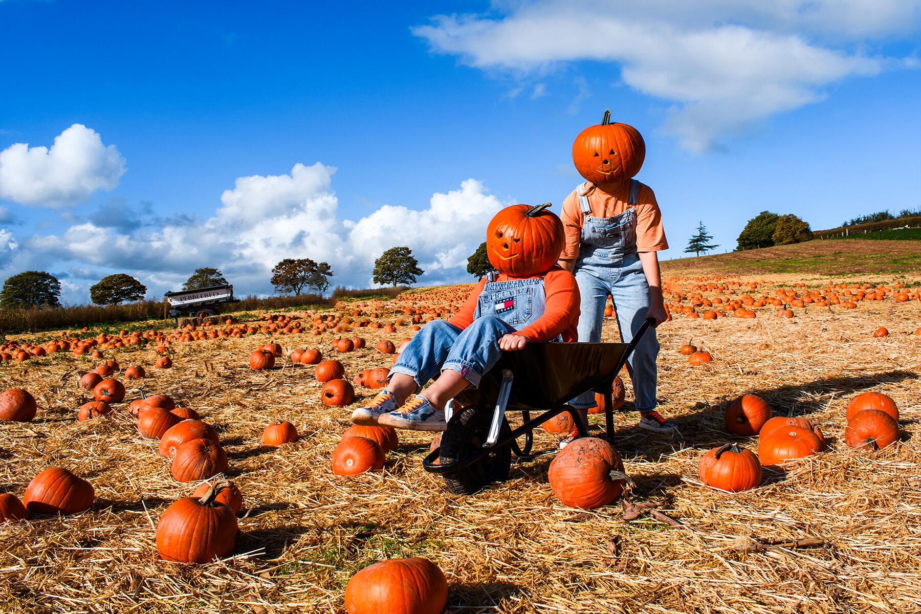 The 12 Best Pumpkin Patches in America