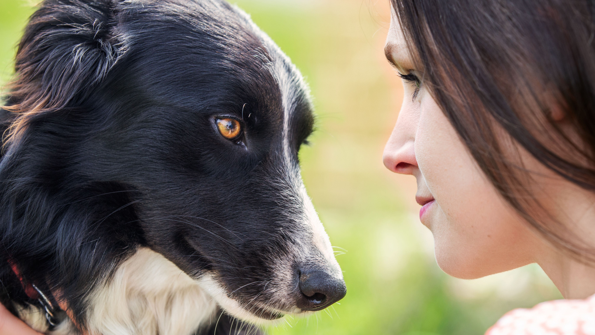 15 Dog Breeds That Create Strong Emotional Bonds With Their Humans