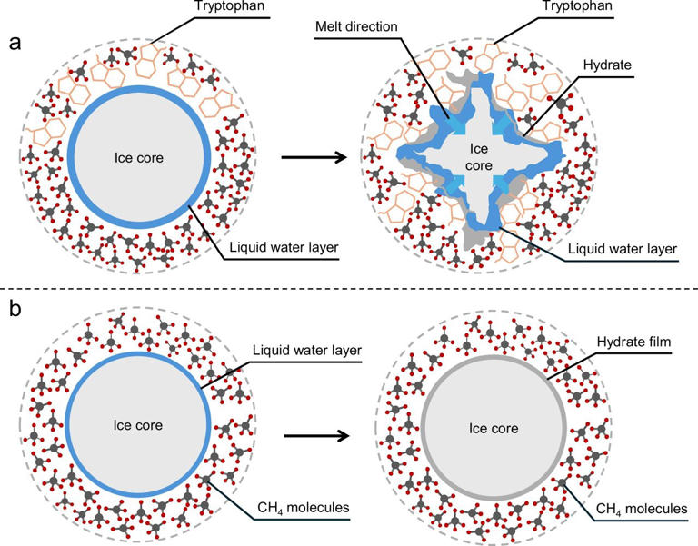 Ice mixed with amino acids stores methane in minutes