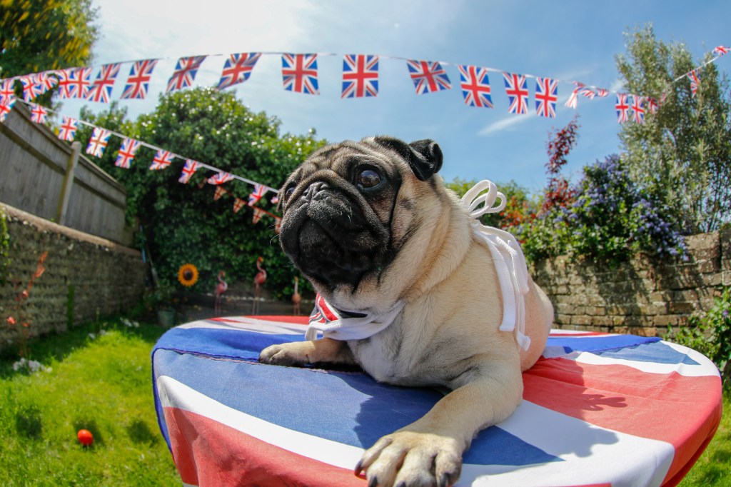 47 things that are way more British than painting fences or half-time ...