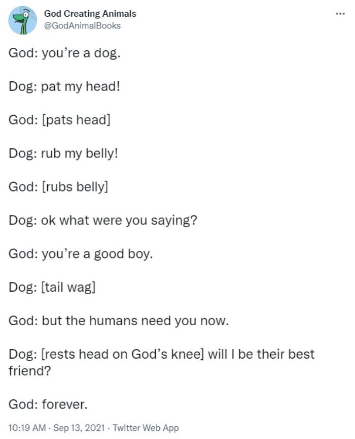 Here’s What God Must’ve Told The Animals While He Was Creating Them (28 ...