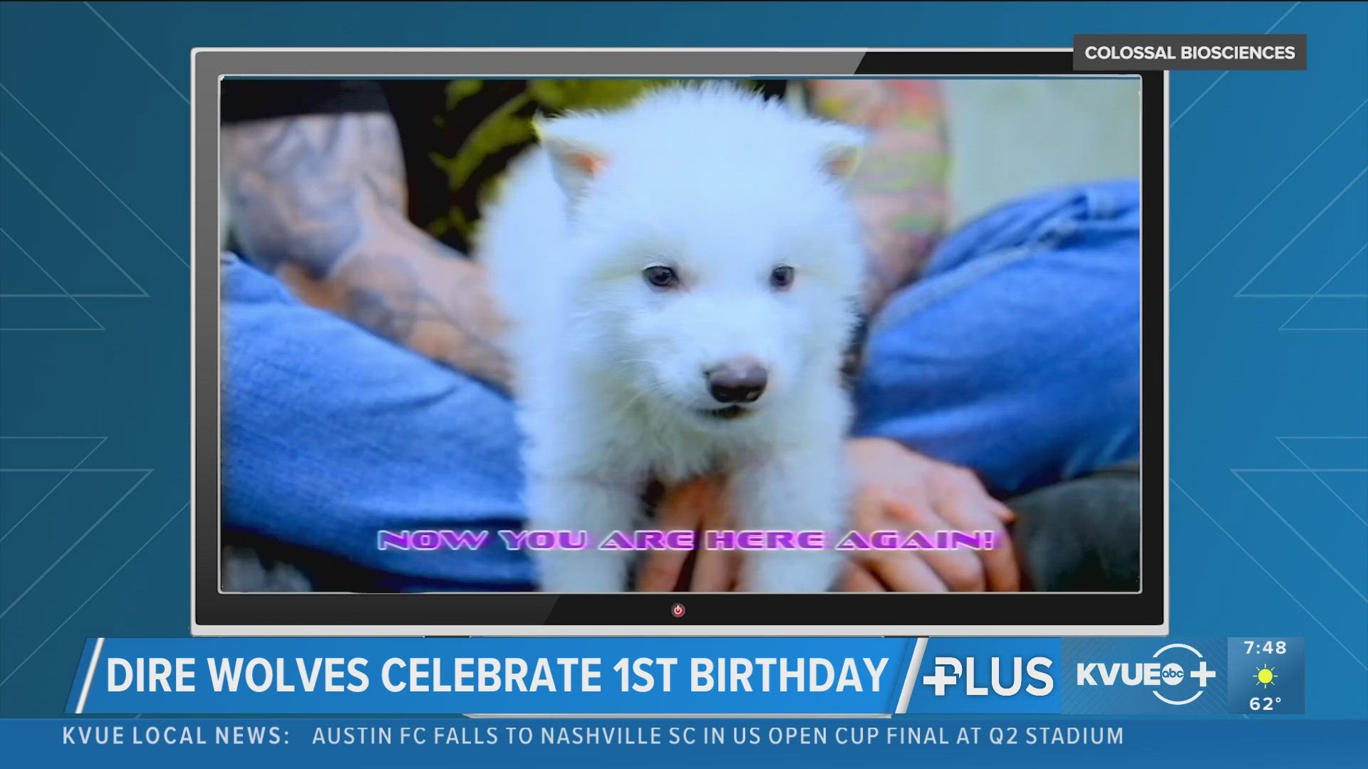 Music video celebrates 1st birthday of dire wolves