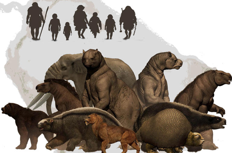 Early humans dined on giant sloths and other Ice Age giants ...