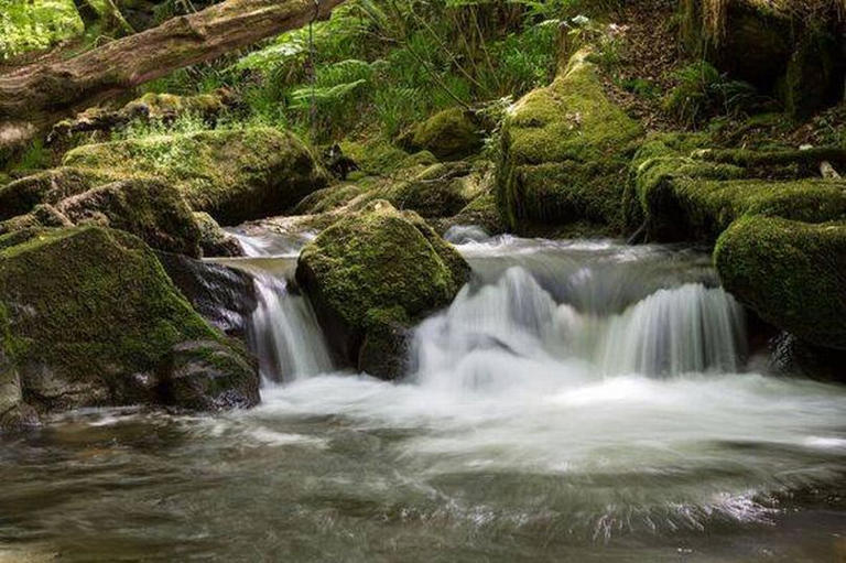 Cornwall's 'fairytale' woodland with 'beautiful waterfall' is a 'must ...