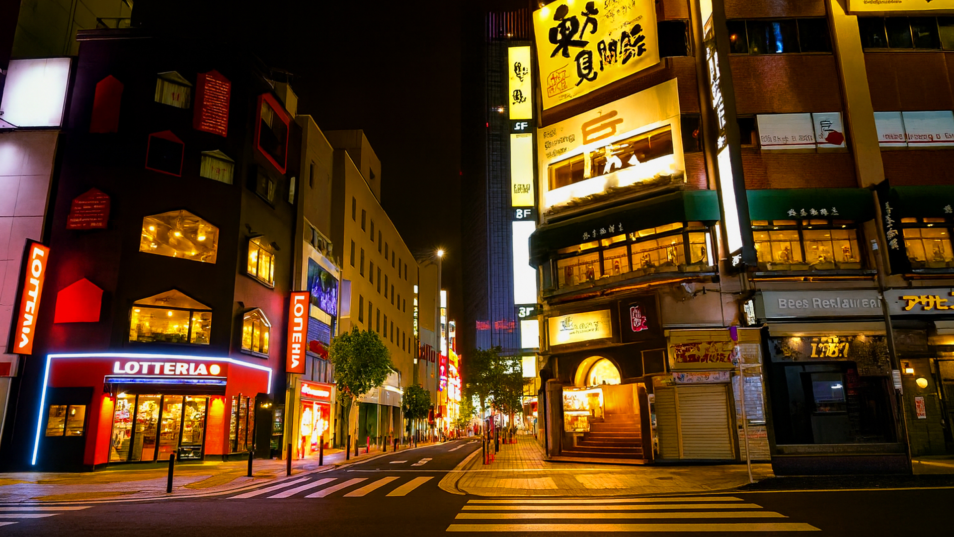 Tokyo Night Walk (4K)