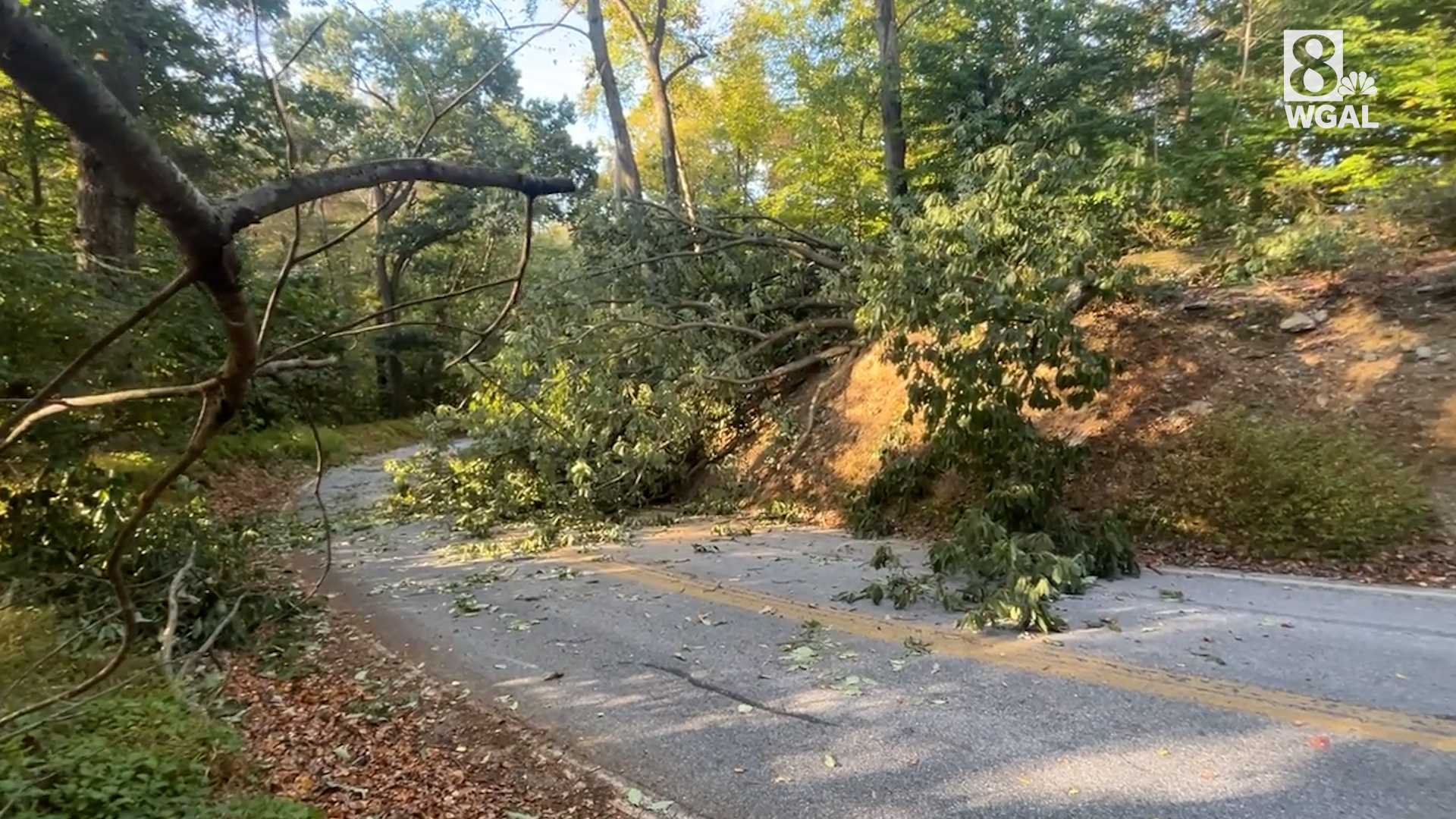 Road has been closed since Tuesday night for fallen trees, wires down