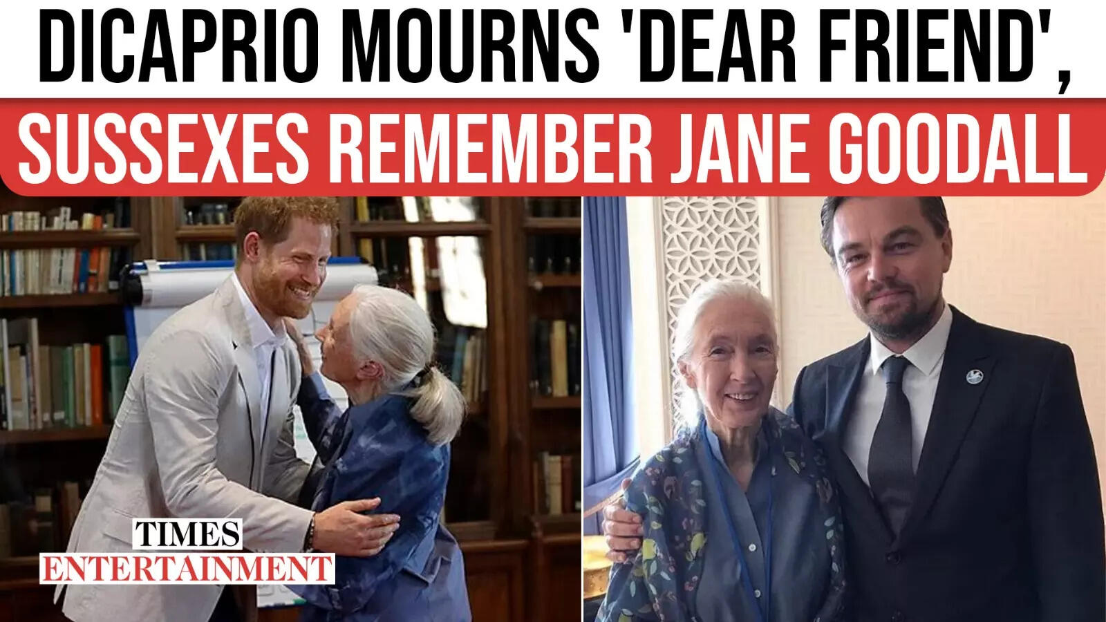 Leonardo DiCaprio, Harry & Meghan Honor Jane Goodall; Royals, Stars ...