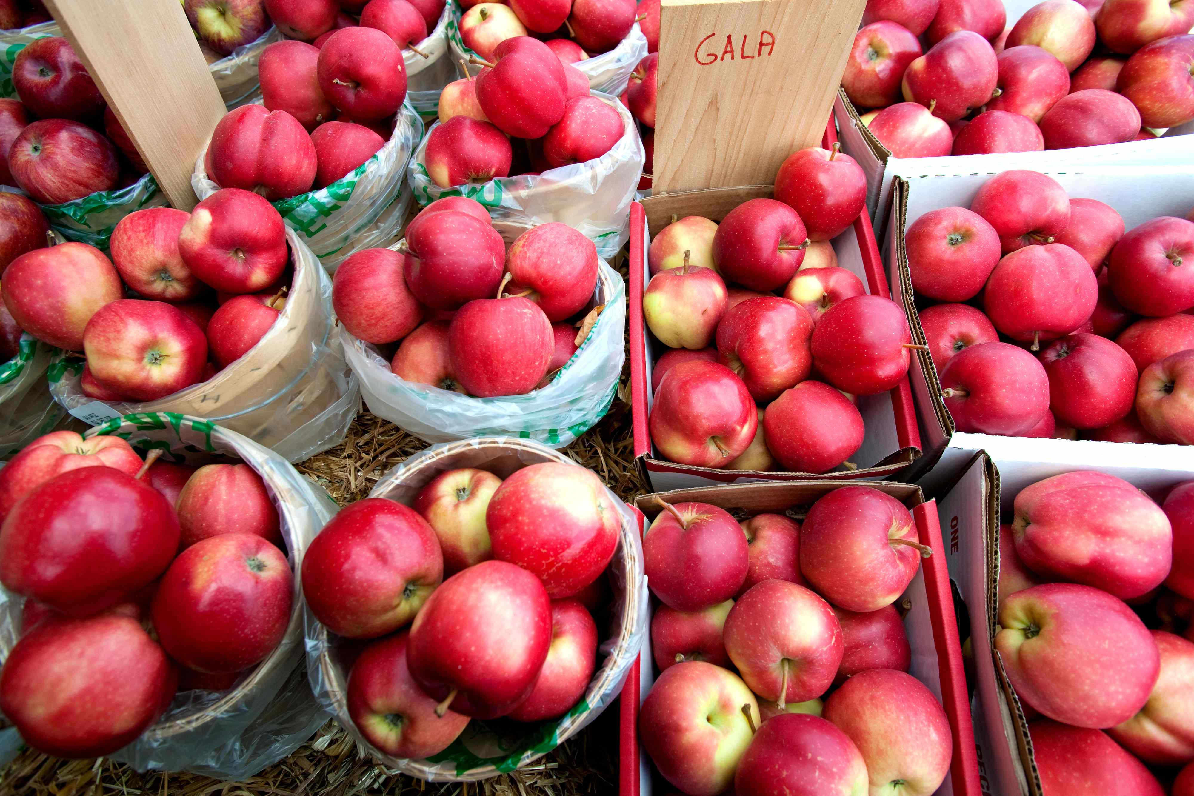 The Best Apples to Eat Right Now, According to an Apple Reviewer