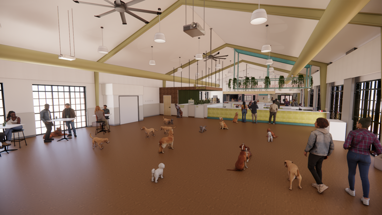 The Wag, Grandview's first 'people park and dog bar' to open this November