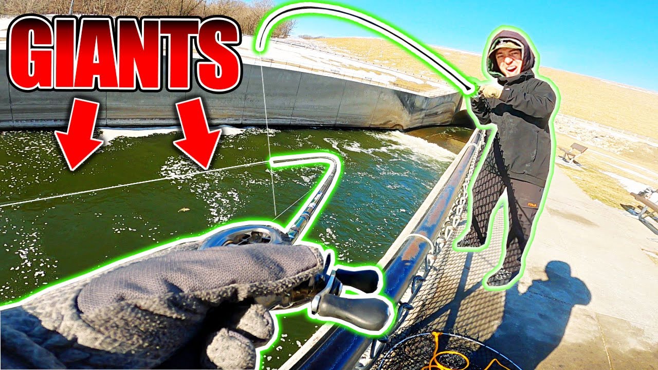 River monsters hoisted up massive thirty foot wall