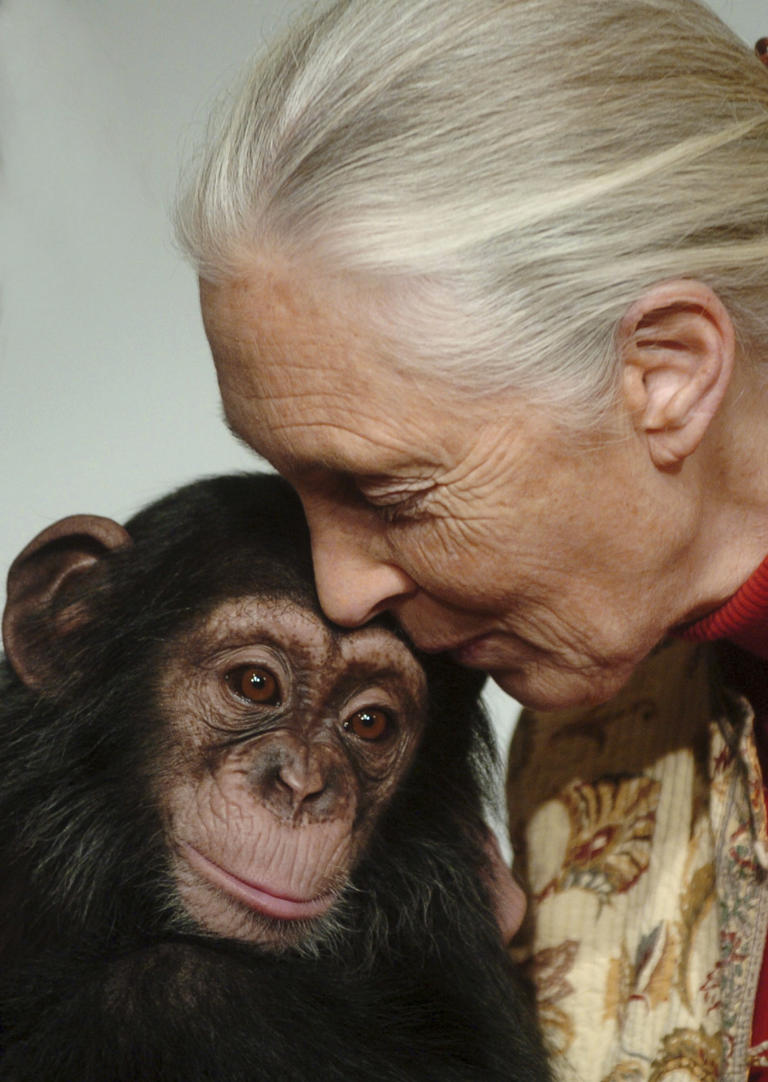 Jane Goodall: A look back at her incredible life