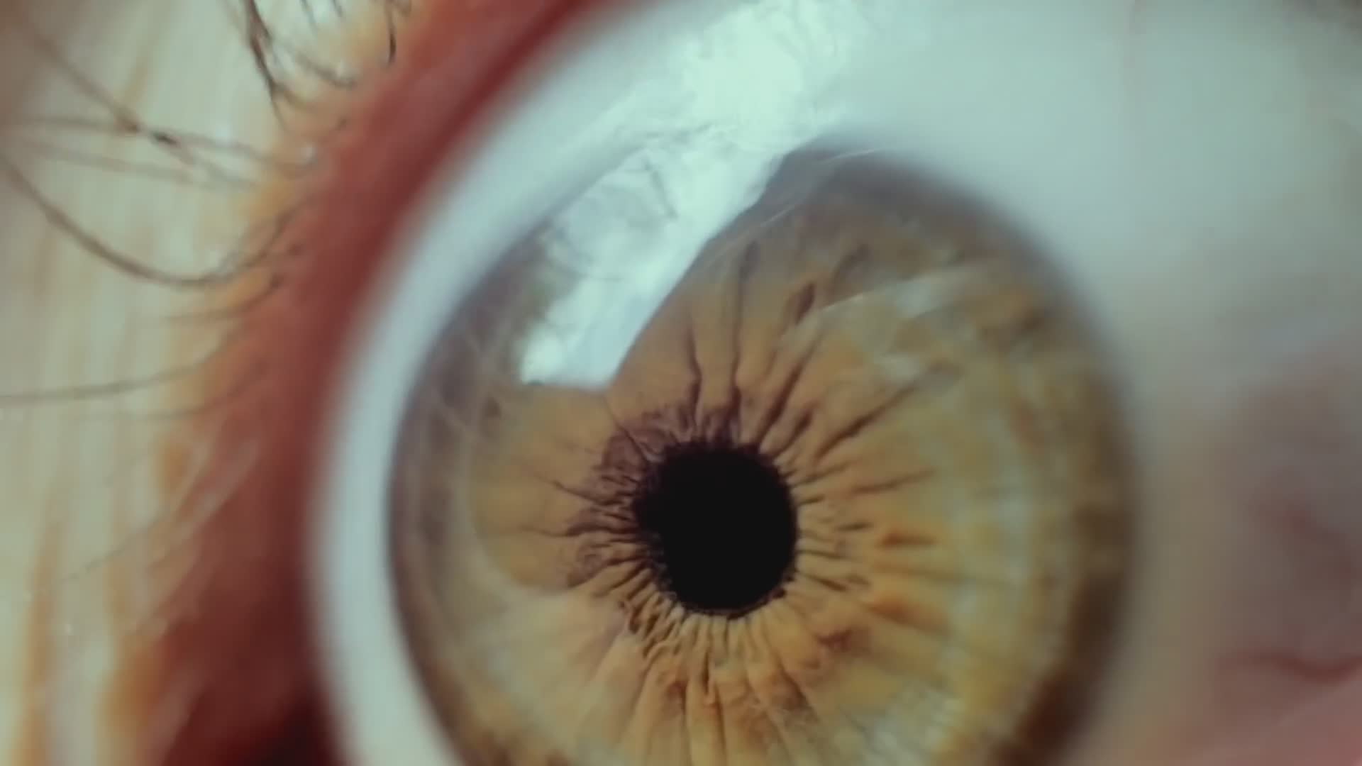 Eye color mysteries revealed