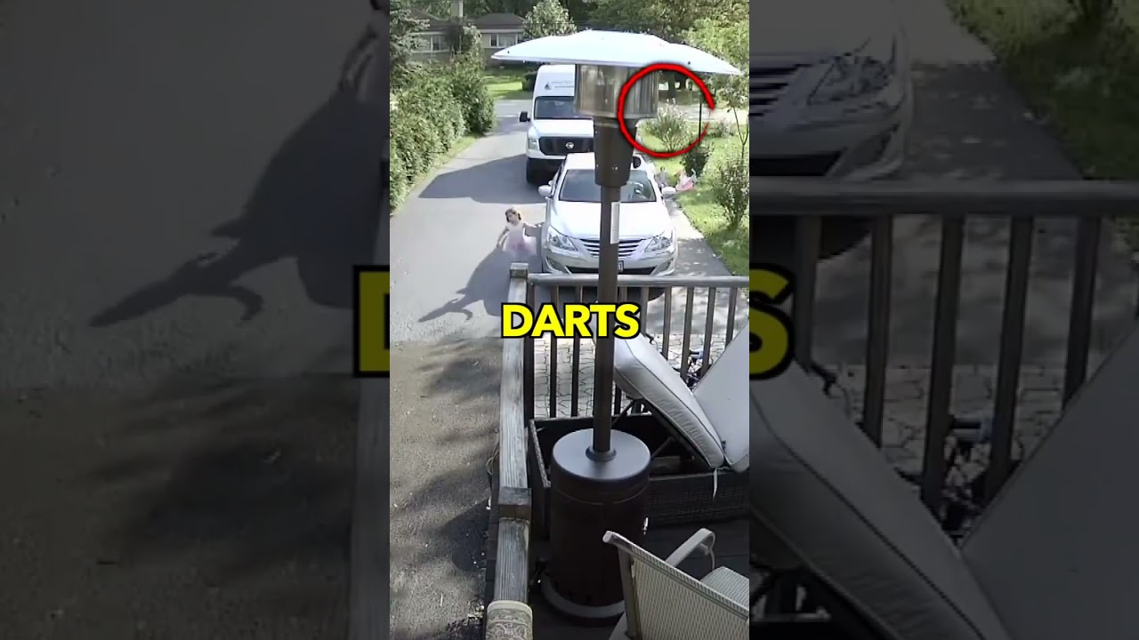 Security footage that captured a terrifying real-life moment