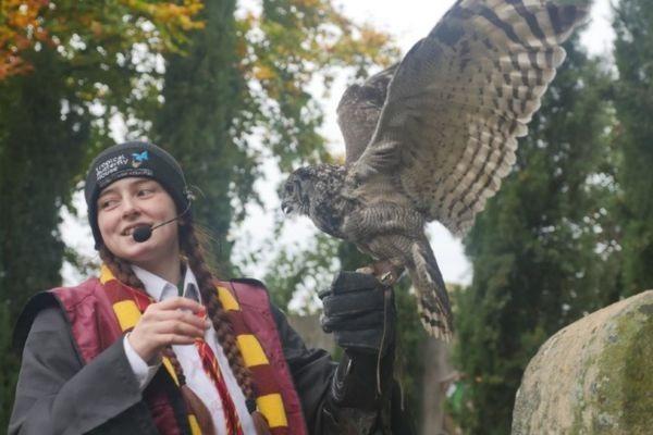 Witches and Wizards Magical Trail at Tropical Butterfly House