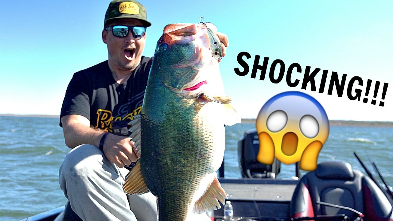 Catching the biggest bass ever recorded on camera