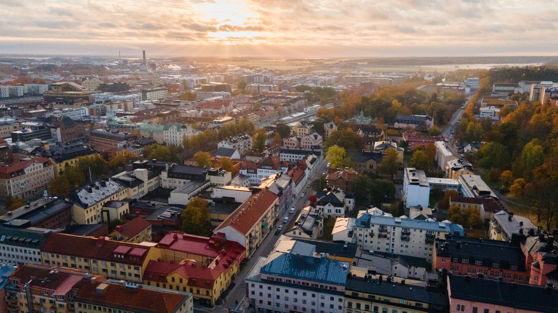 The Foxtrot crime network: inside Sweden’s notorious criminal gang