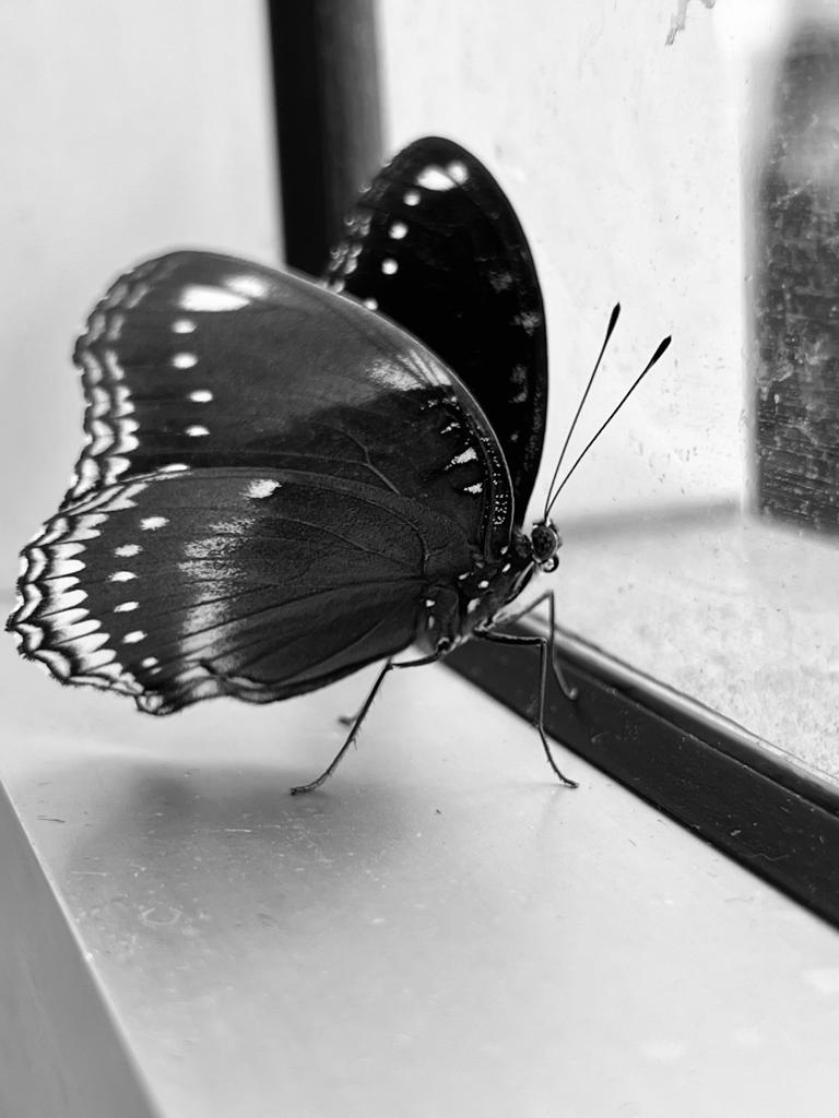 Nicole Kidman's Quiet Struggle With an Unexpected Fear