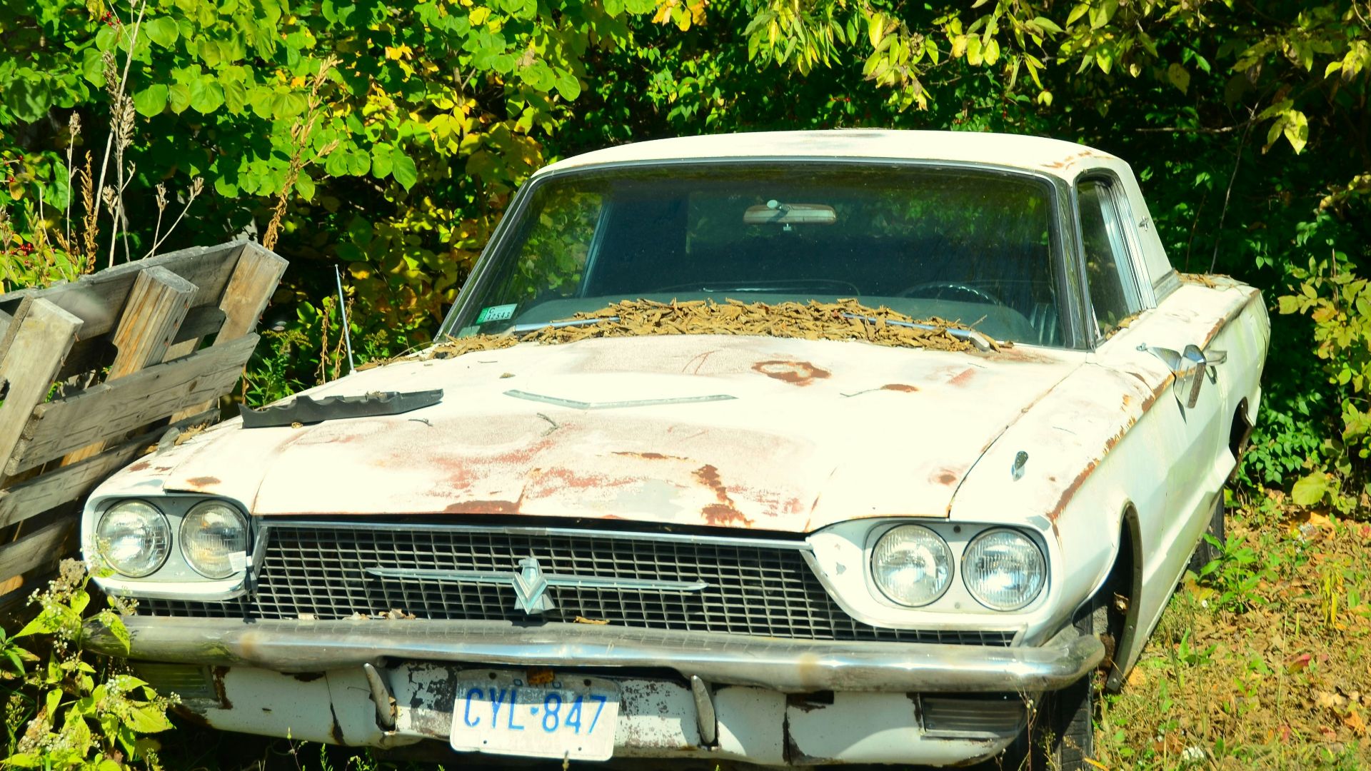 Major Red Flags To Watch For When Buying A Used Car