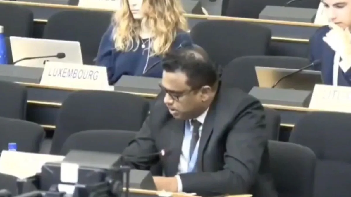 'Should confront the persecution of minorities on its own soil': India ...