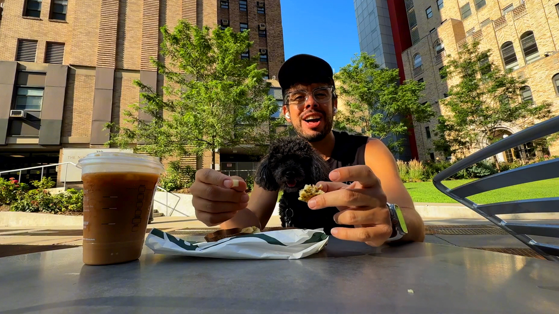Day in My Life NYC Vlog Dog Walks