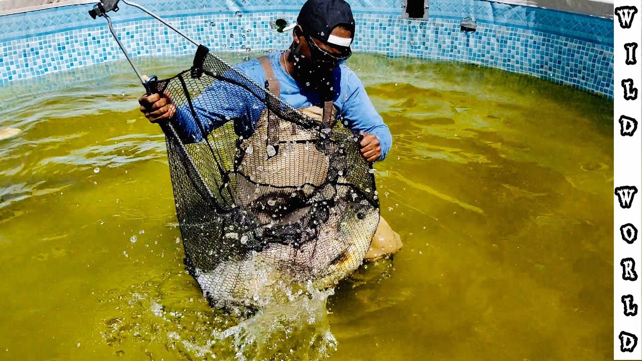 How I landed huge fish using a small net