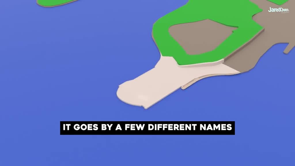 How the Sydney Opera House became iconic