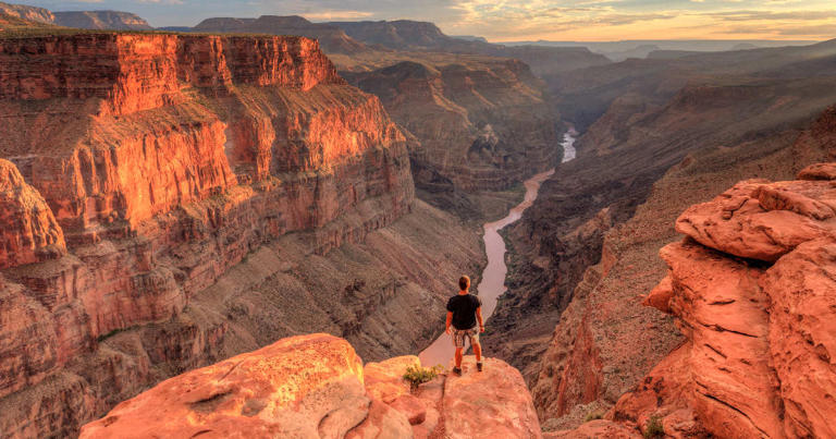 Scientists find a 500-million-year-old ecosystem in Grand Canyon that ...