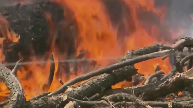 Burn ban issued: Alabama officials warn of dangerous wildfire conditions