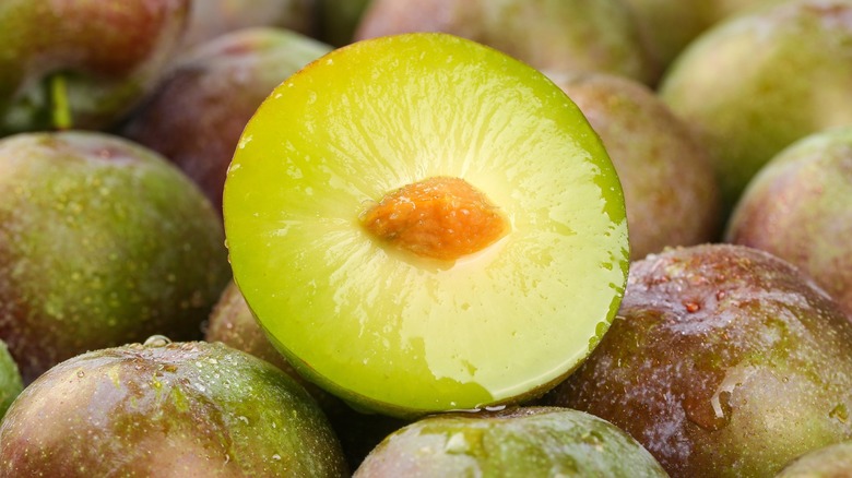 Turn A Single Plum Pit Into Your Own Fruit-Bearing Backyard Tree