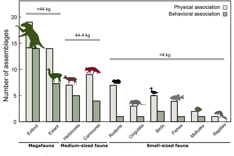Early humans dined on giant sloths and other Ice Age giants ...
