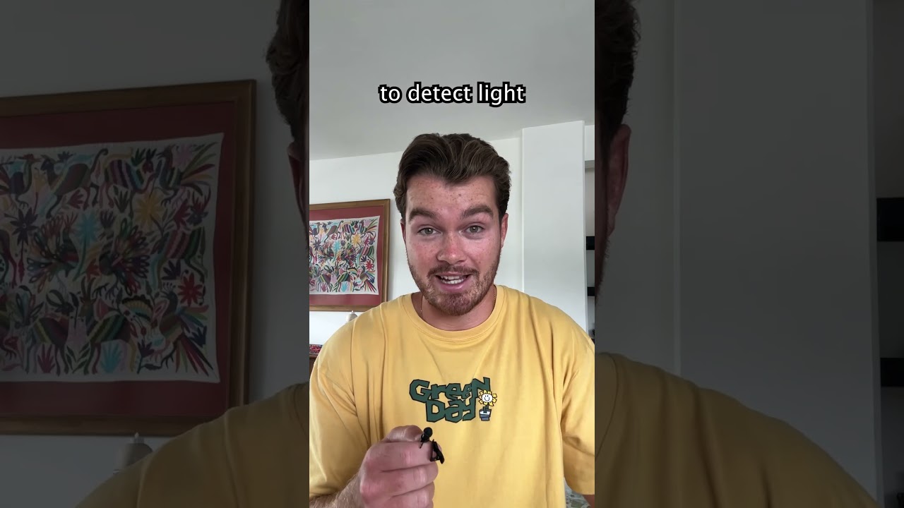 Humans actually have seven senses, not five