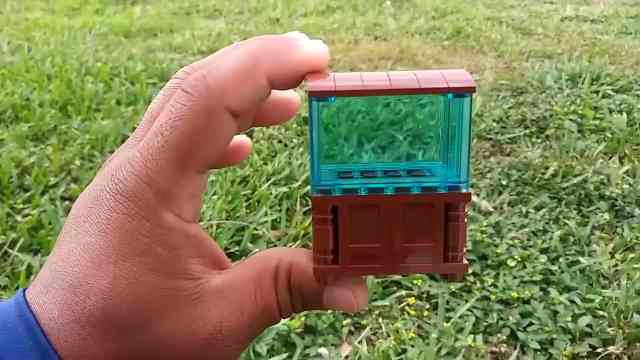 Can fish survive in the world’s smallest aquarium?