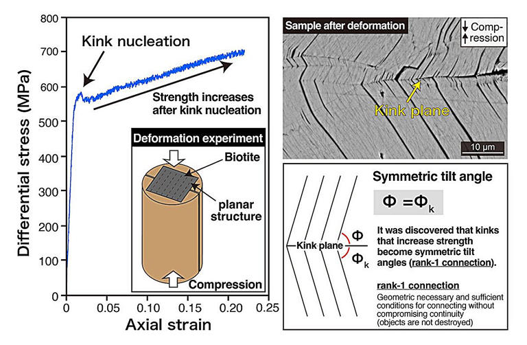 A kinky twist: Some rock folds may strengthen Earth's crust, not weaken it