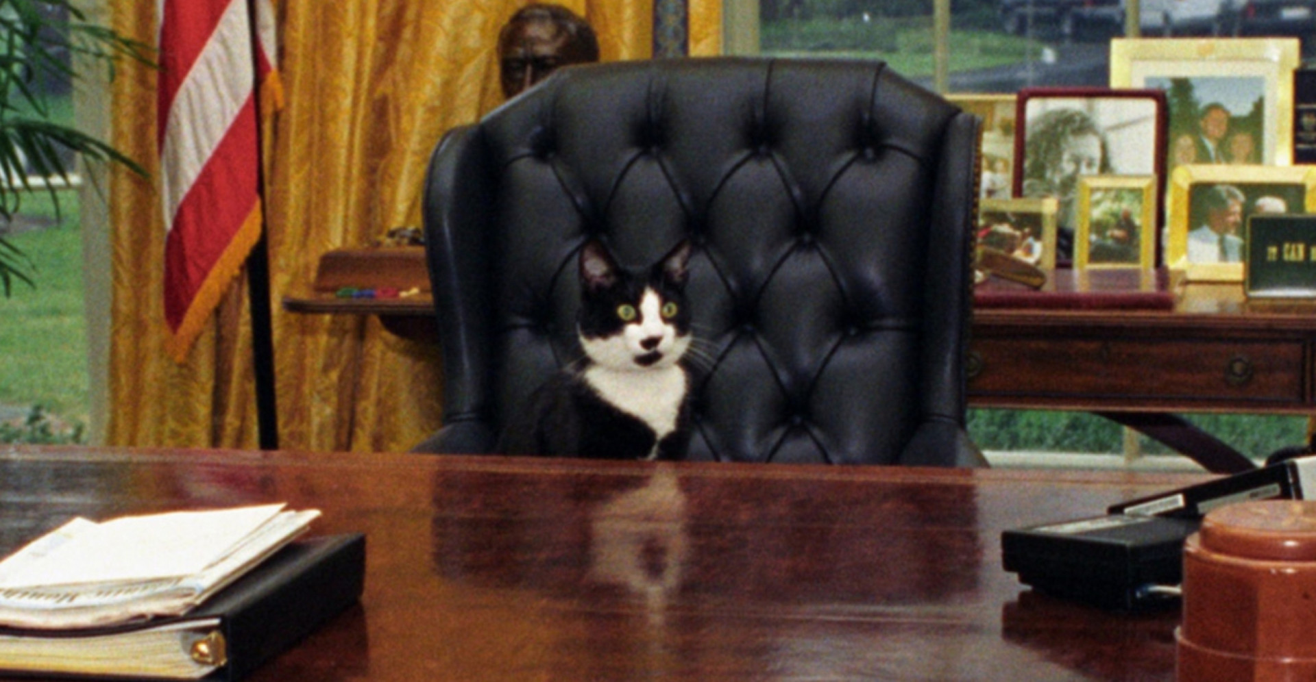 Nations leading in animal protection laws