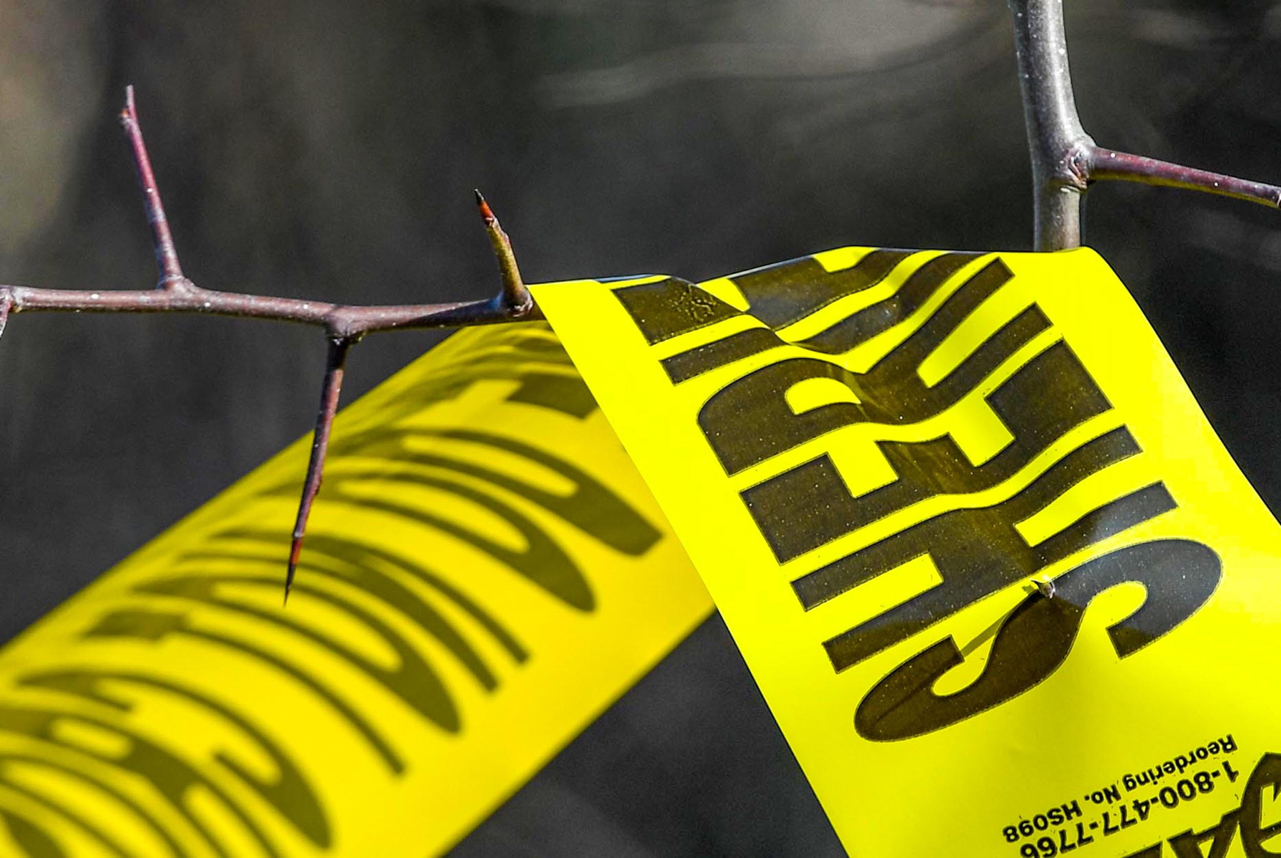 SLED: Anderson deputy fatally shoots armed man during encounter