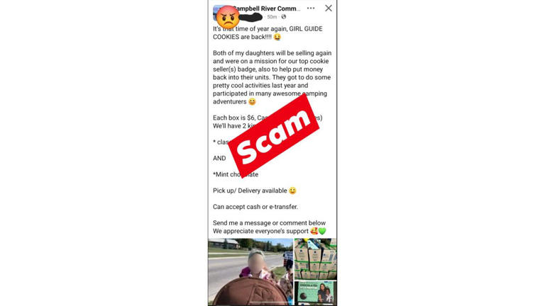 Buying Girl Guide cookies off the internet? Beware of scams