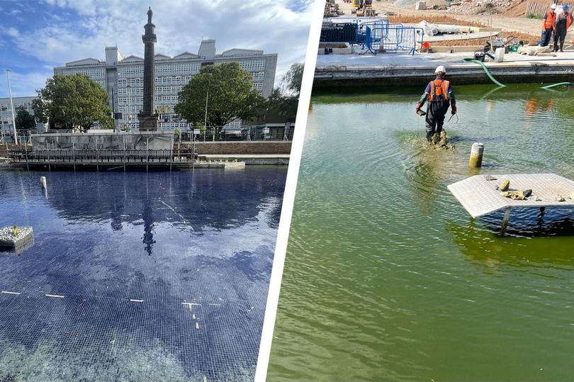 Queen's Gardens pond refurbishment reveals long-unseen mosaic