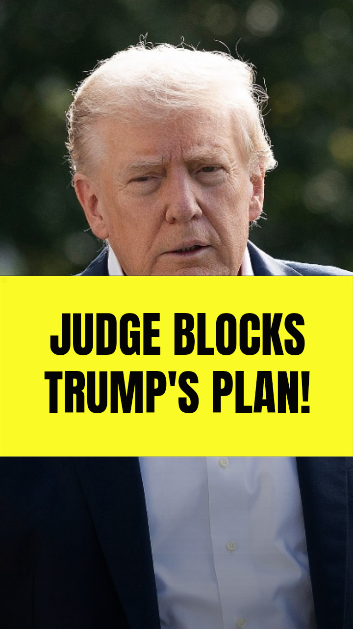 Trump-appointed judge rules against the president