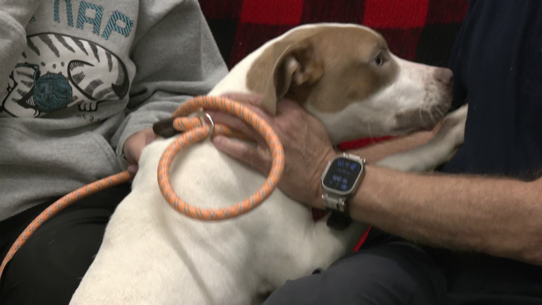 Kirk’s Critters: Danny O’Day