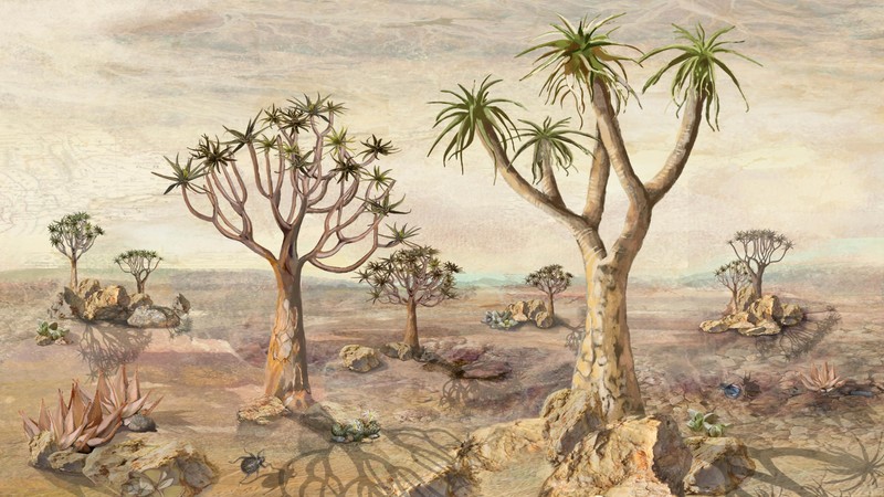 Solo Studios 2025 brings art to life in the Riebeek Valley