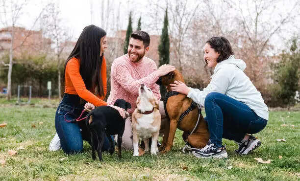 How to Stop Your Dog from Excessive Barking Without Stress