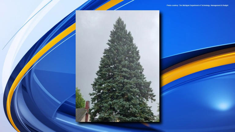 Lansing’s holiday ornaments installed downtown to kick off holiday season