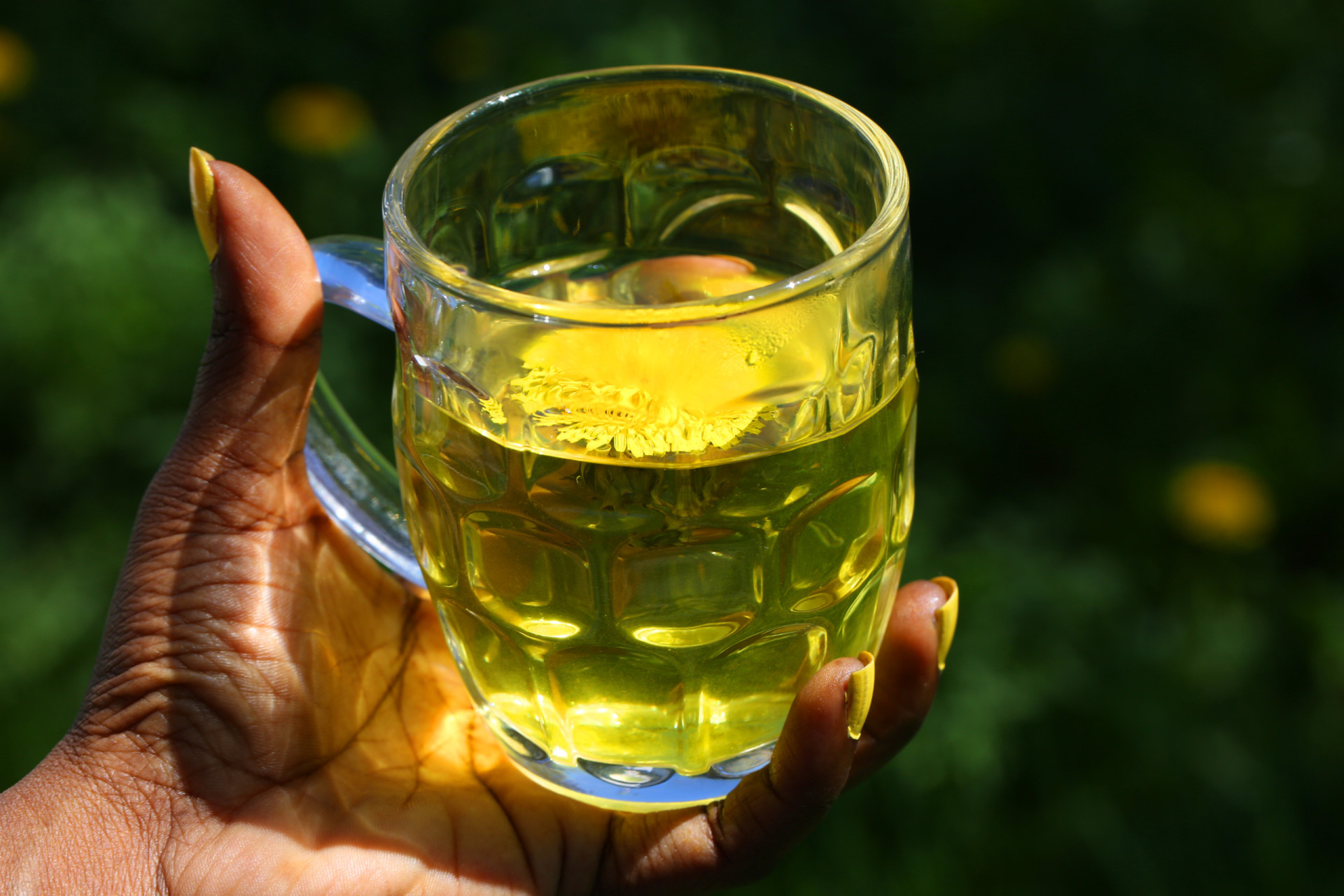 Medicina holística: O que é e como pode mudar sua vida