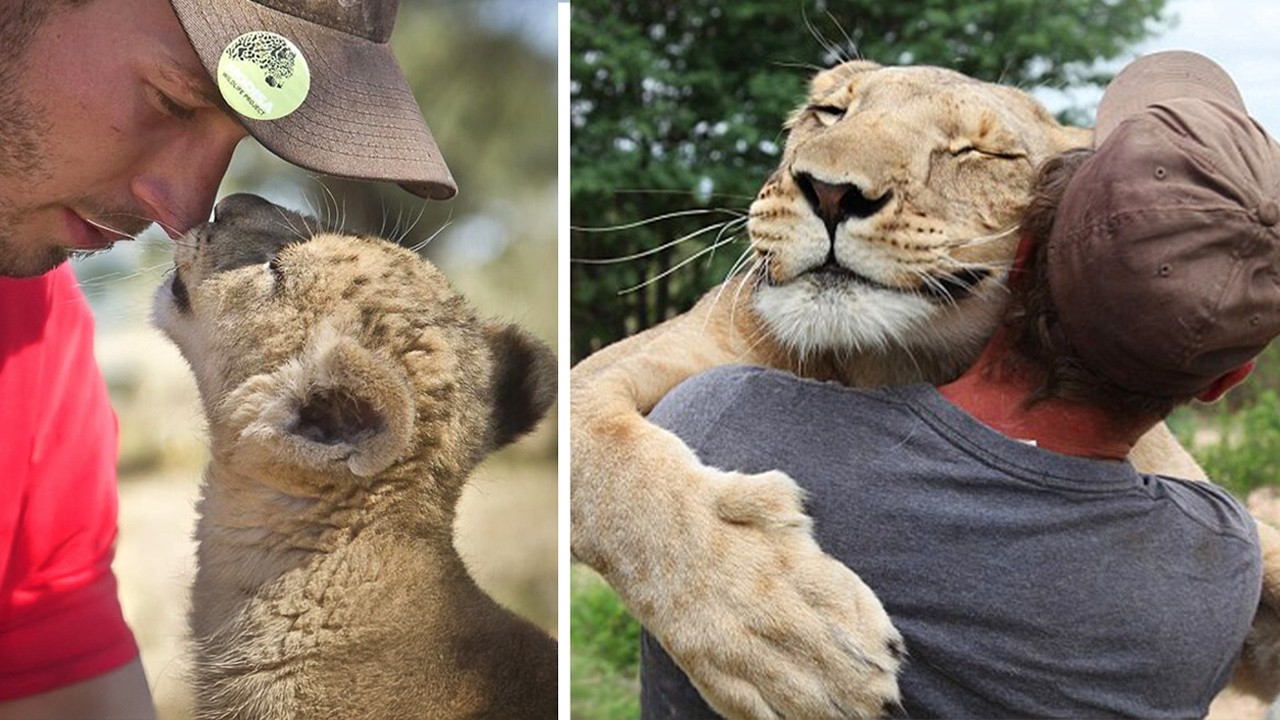 Tearful reunions show unbreakable bonds between pets and people