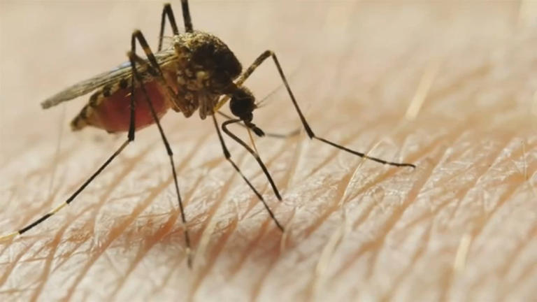 Kings County health officials confirm human West Nile Virus death