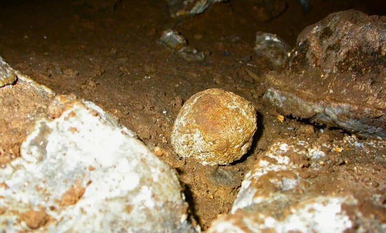 Prehistoric Hyenas Ate Humans? Fossilized Hair Found In Ancient Poop