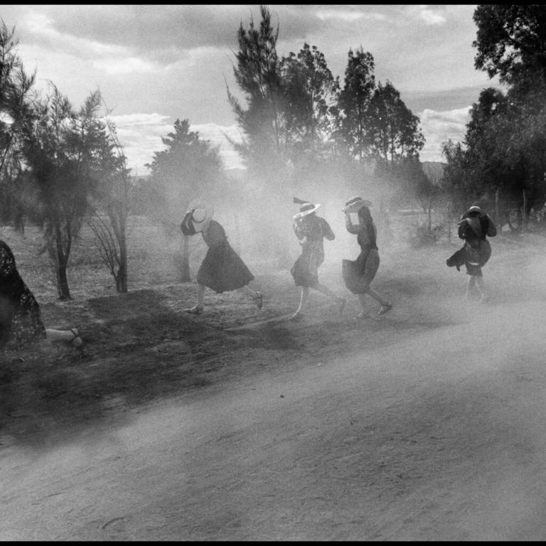 Larry Towell’s Visions of War